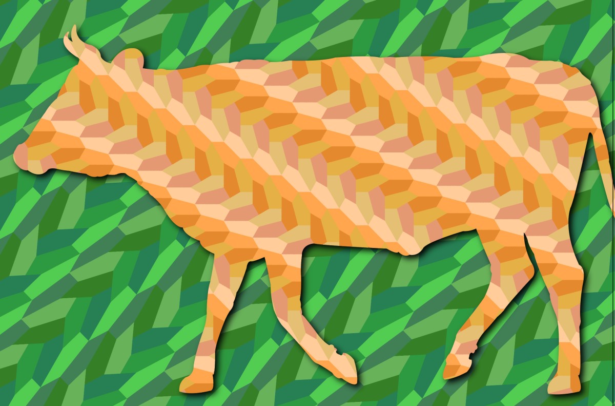 Expressing Pentagons as Proper Tile Patterns, a deke.com article