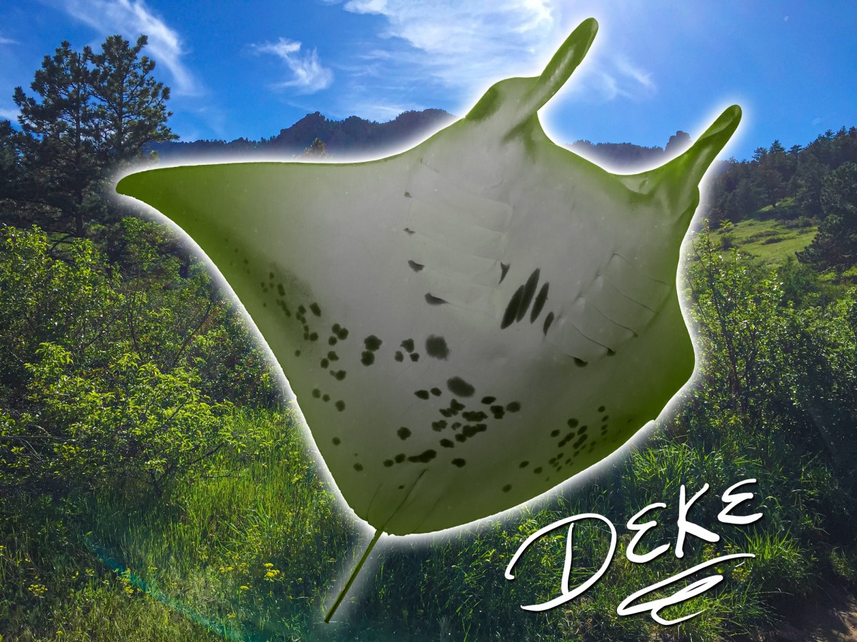 Using an iPad as a Sidecar Drawing Tablet, a deke.com article