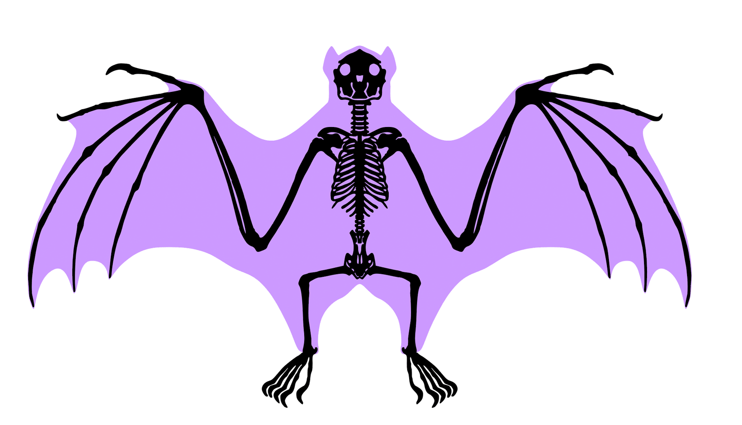 Using the Puppet Warp Tool in Illustrator CC 2018, a deke.com article