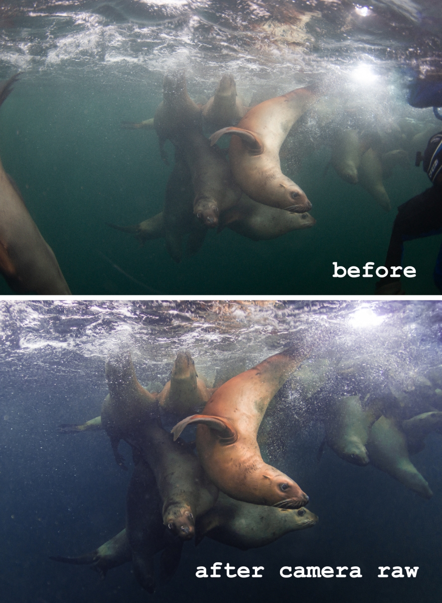 Making an Awful Photograph Awesome, a deke.com article