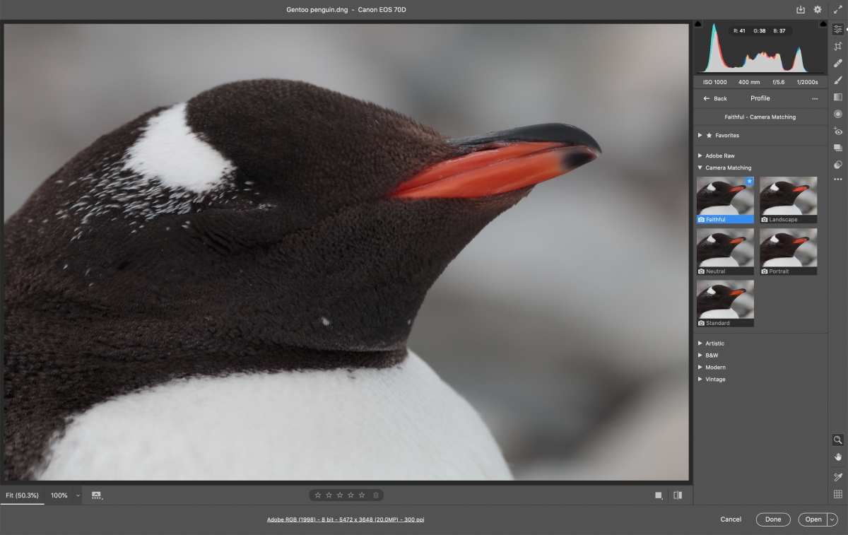 Using Camera Matching Profiles in Camera Raw (or Lightroom), a deke.com ...